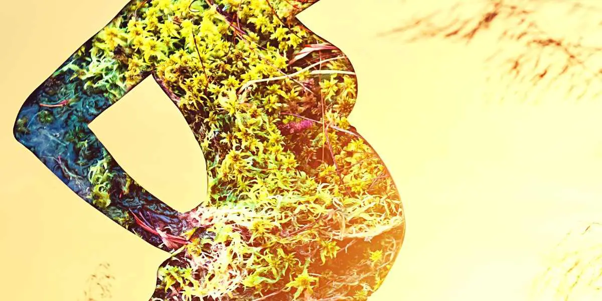 गर्भाधान संस्कार (Garbhadhan Sanskar) - eAstroHelp