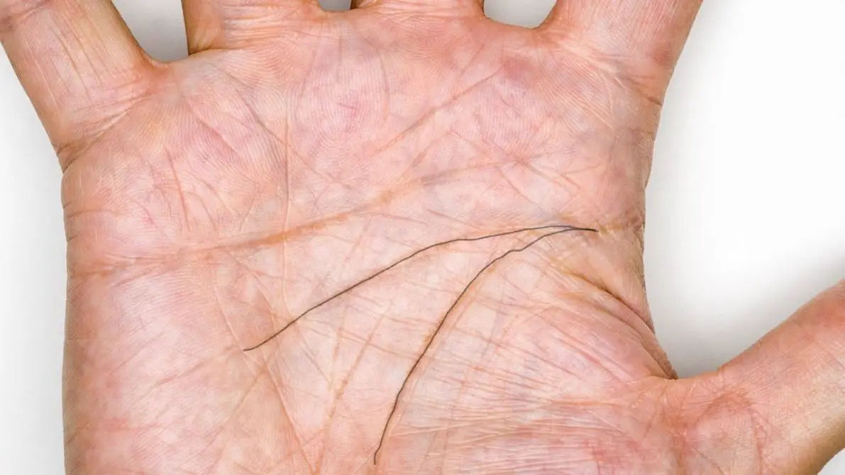 Know these Lines in Your Palm that Indicates Your Wealth and Money ...