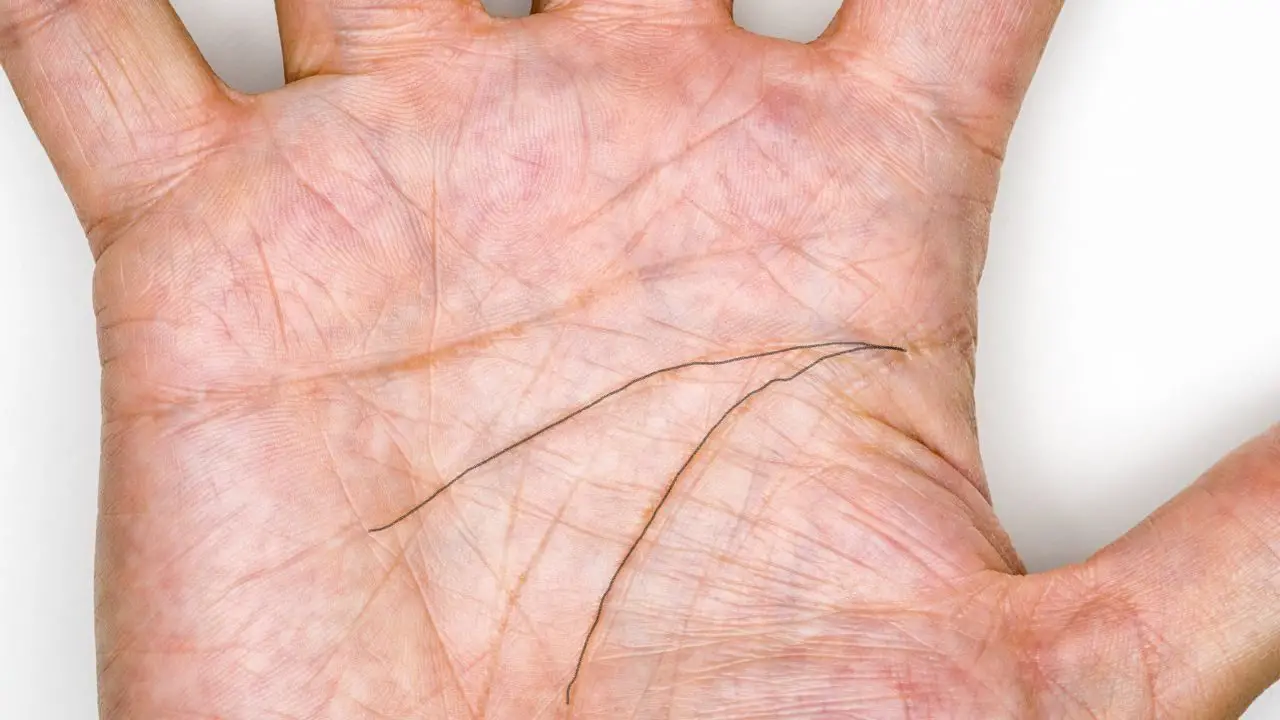 Know these Lines in Your Palm that Indicates Your Wealth and Money ...