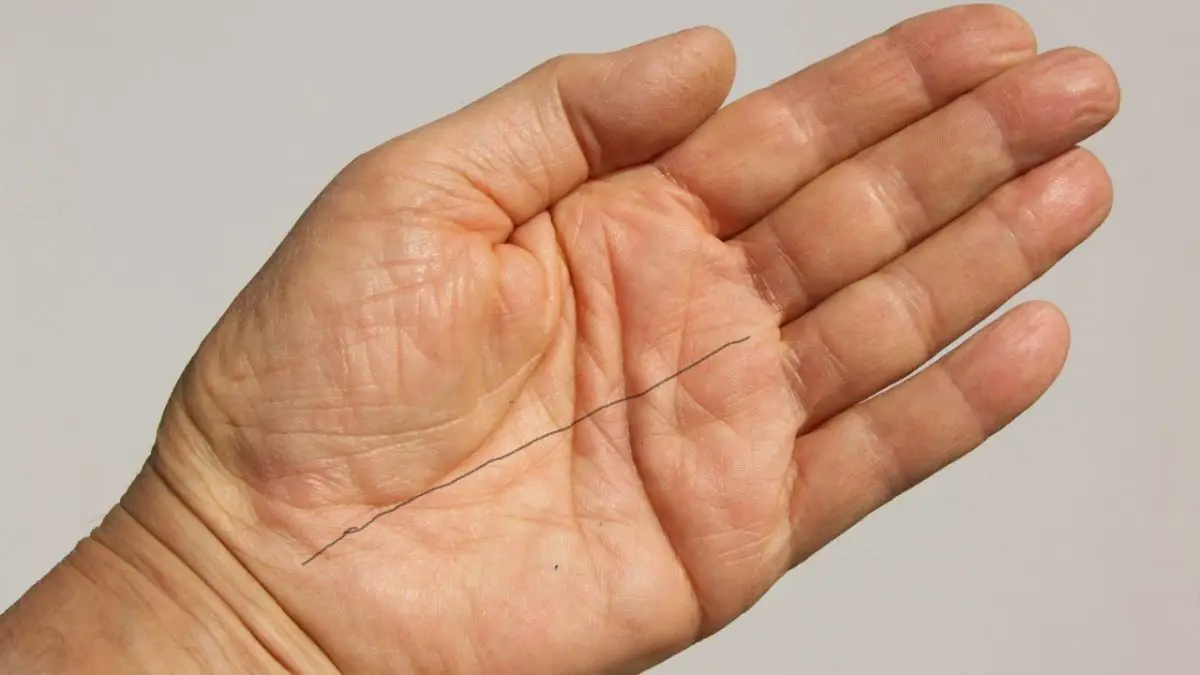 Know these Lines in Your Palm that Indicates Your Wealth and Money ...