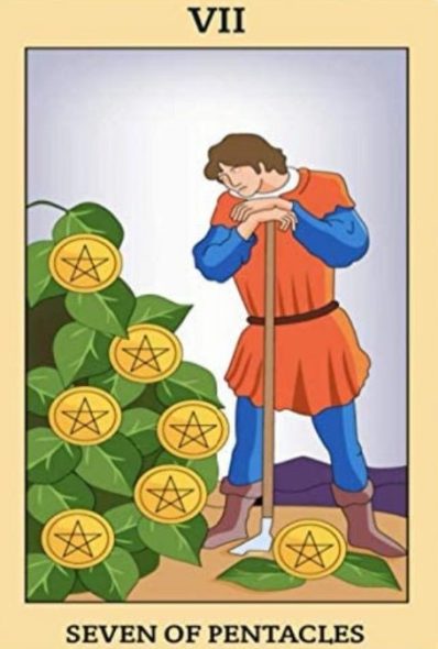 All About The Seven of Pentacles Tarot Card - The Seven of Pentacles ...