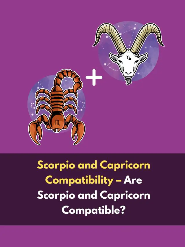 Capricorn Compatibility Chart